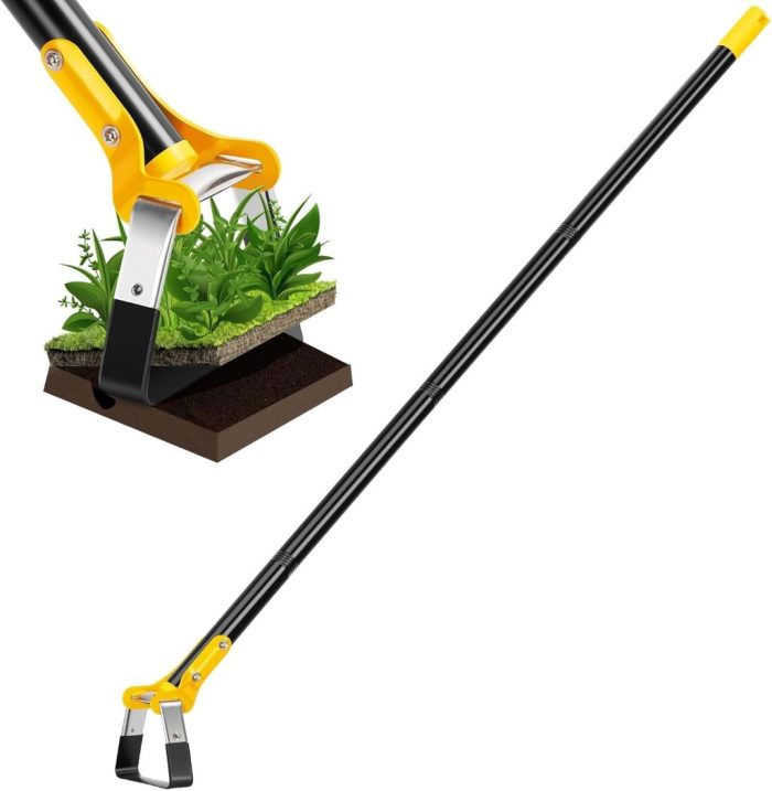 How to Sharpen a Garden Hoe with a File: A Step-by-Step Guide - Best ...